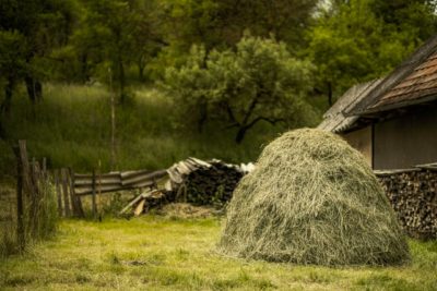 18 Best Places to Buy Hay Bales Near You
